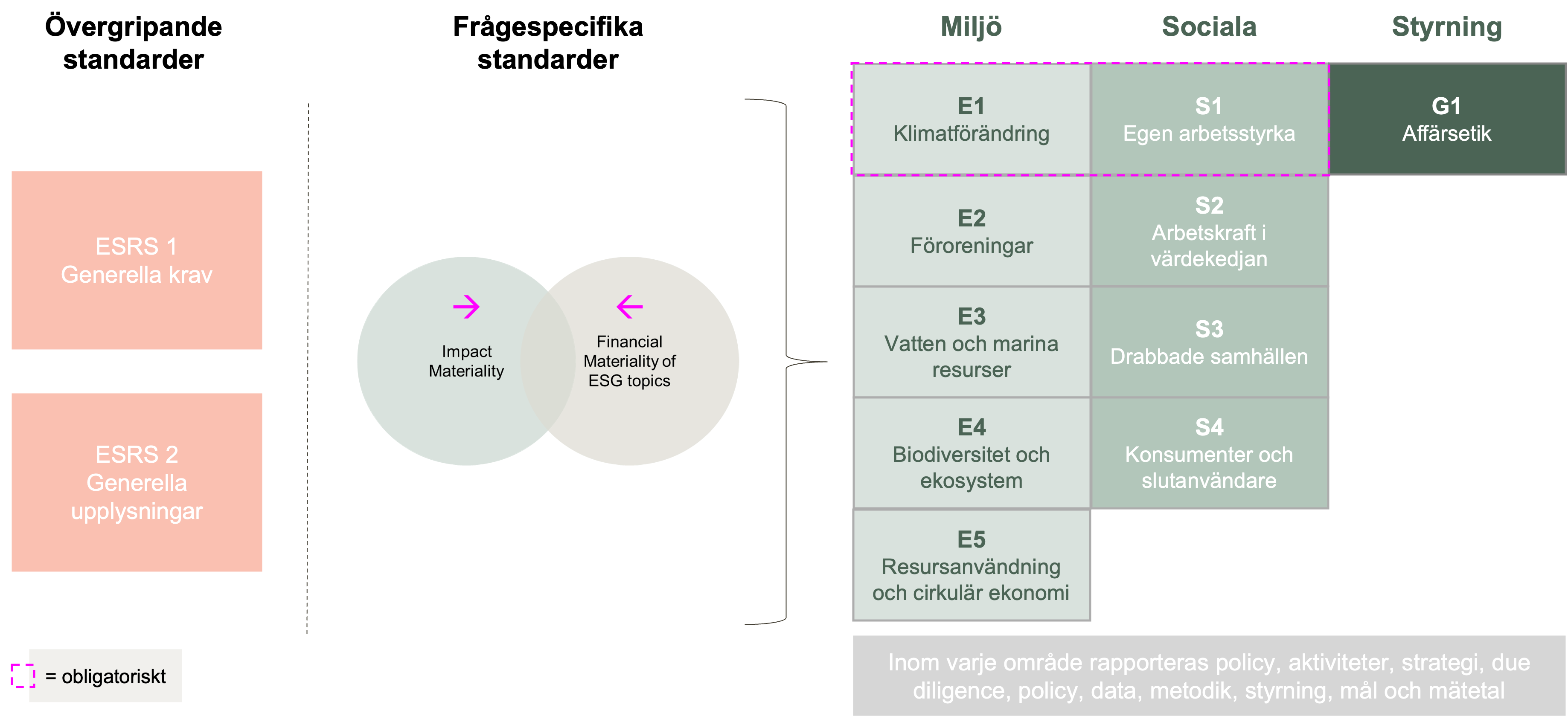 Vad är CSRD och hur förbereder ni er bäst för direktivet?
